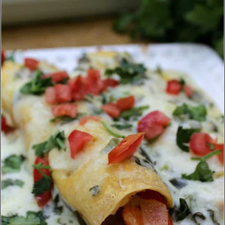 Shrimp Enchiladas with Poblano Cream Sauce