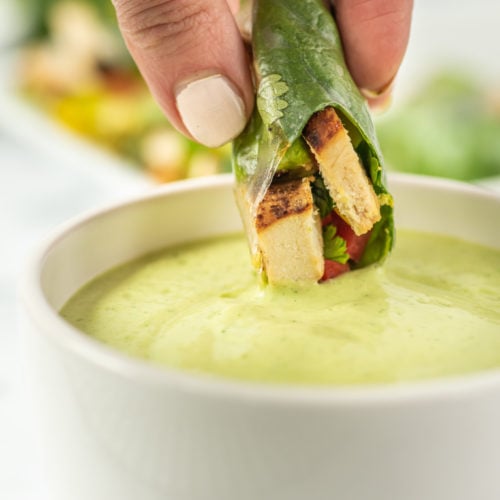 Fresh Mexican Spring Rolls