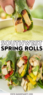 Fresh Mexican Spring Rolls