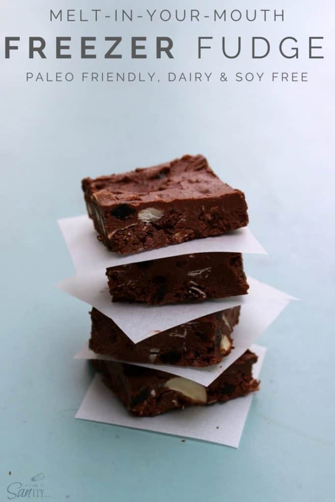 Freezer Fudge, Paleo Friendly, Dairy & Soy Free