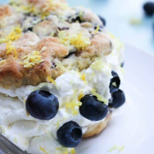 Blueberry Lemon Shortcakes - Dash of Sanity