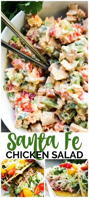 Santa Fe Chicken Salad