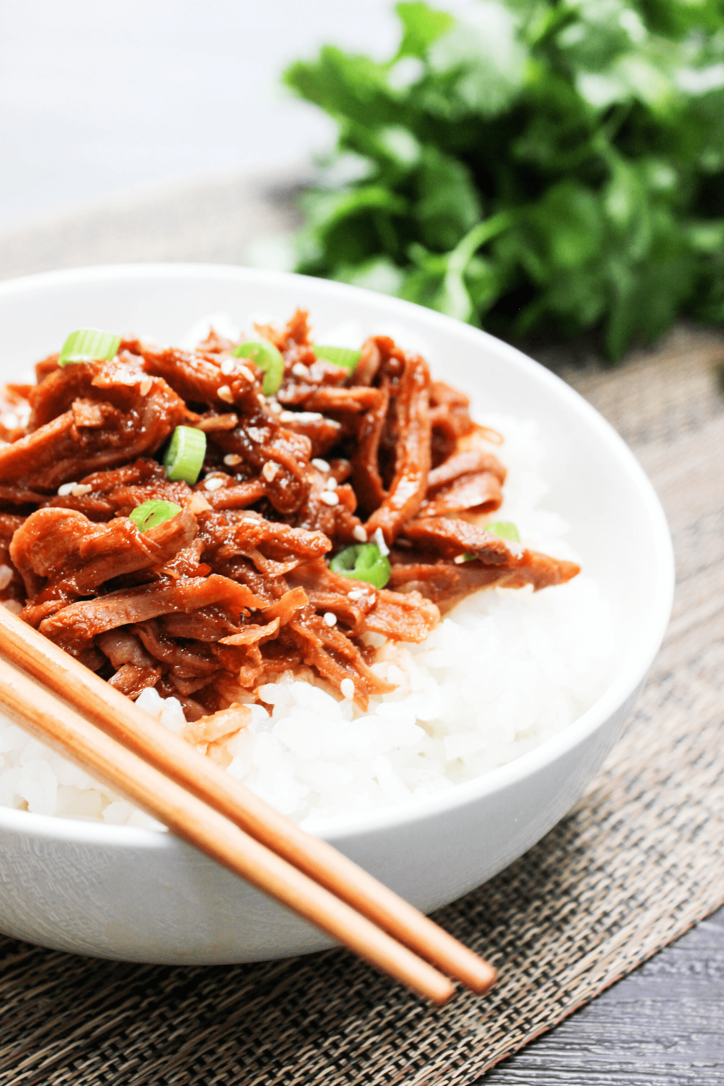 Sesame Pulled Pork - Dash of Sanity