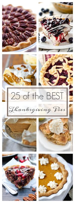 25 of the Best Thanksgiving Pies - Dash of Sanity