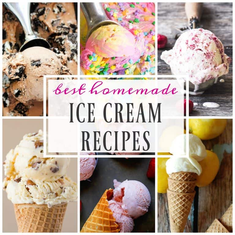 Best Homemade Ice Cream Recipes - Dash of Sanity