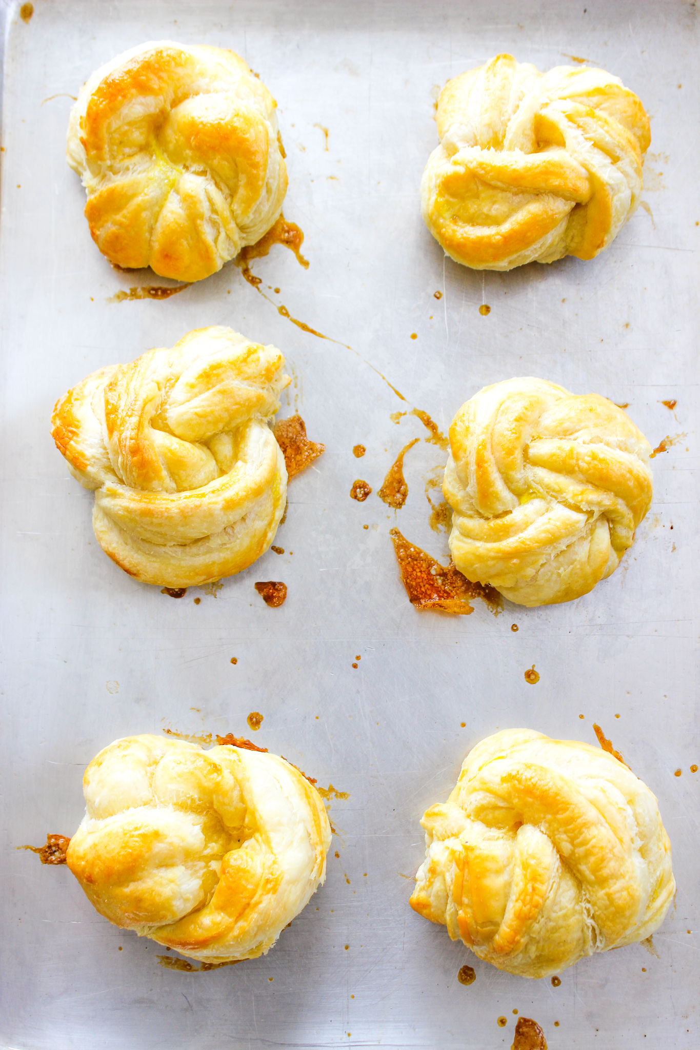 Coconut Knots - Dash of Sanity