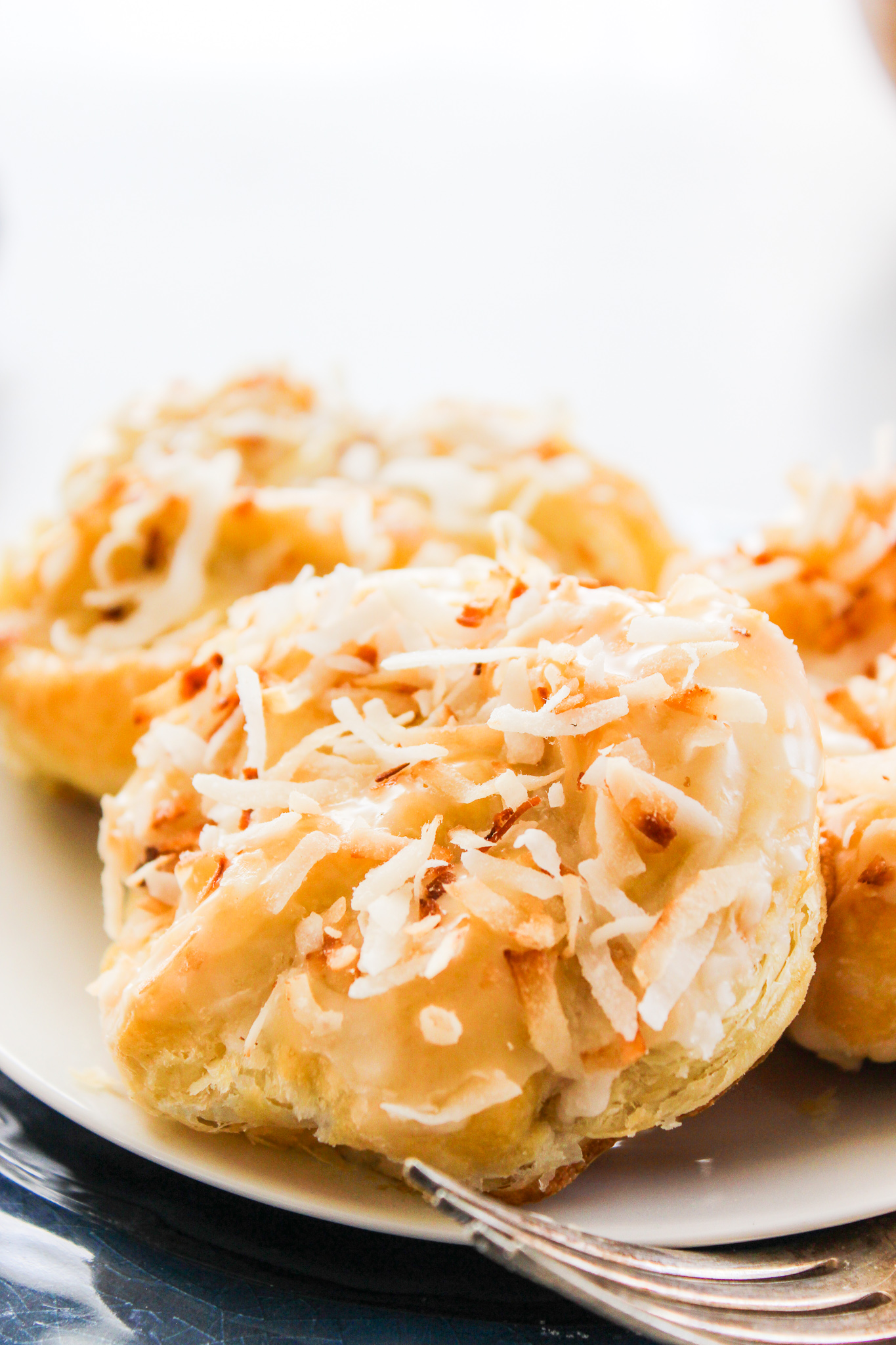 Coconut Knots - Dash of Sanity