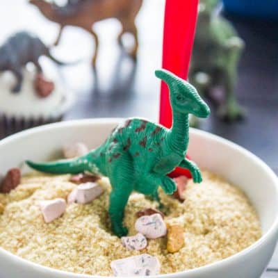 DINOSAUR DIG PARTY - Dash of Sanity