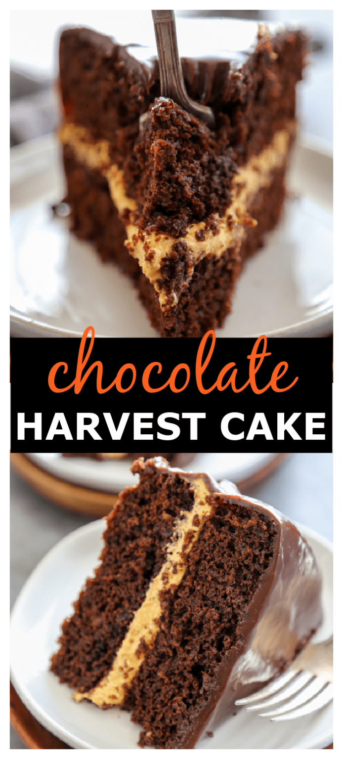 Chocolate Harvest Cake