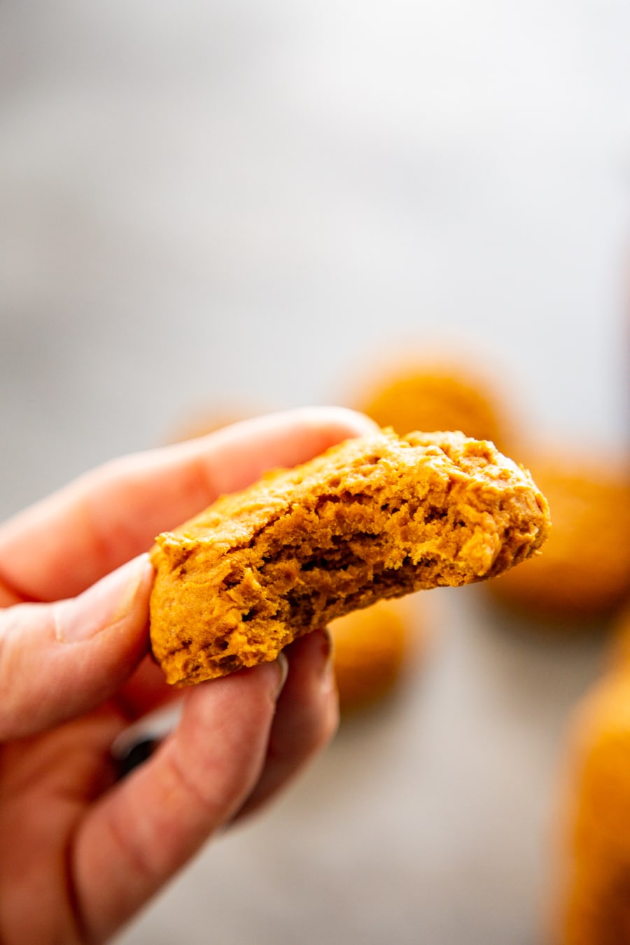 2-Ingredient Pumpkin Cookies - Dash of Sanity