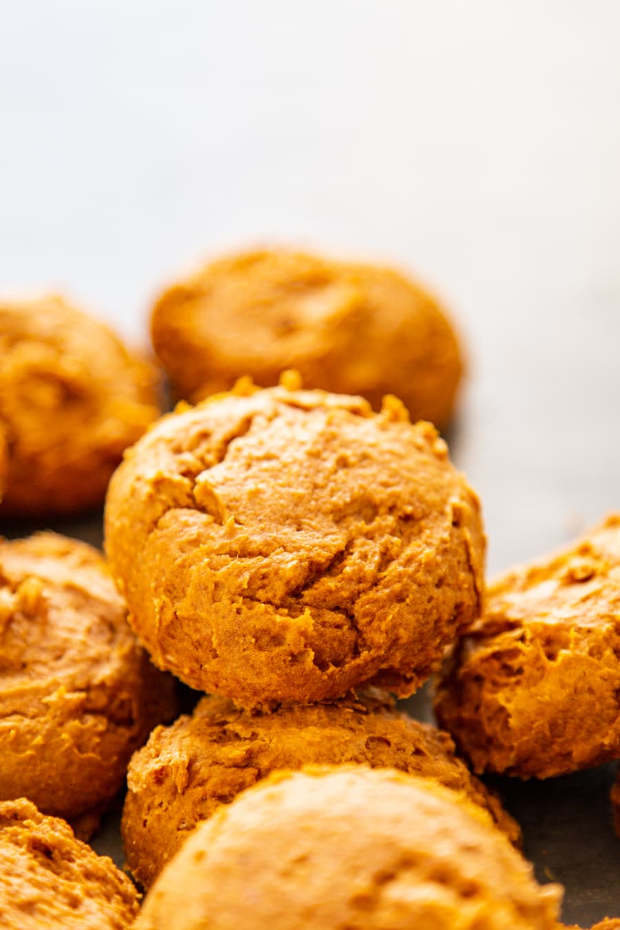 2-Ingredient Pumpkin Cookies - Dash of Sanity
