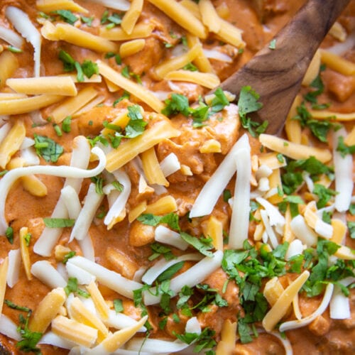 Creamy Salsa Chicken - Dash of Sanity