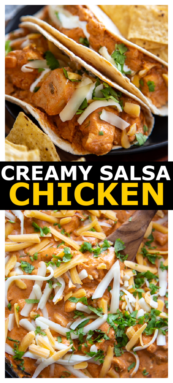 Creamy Salsa Chicken - Dash of Sanity