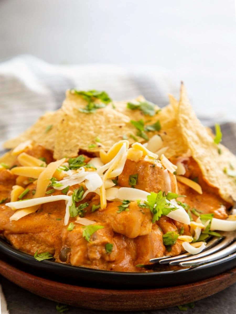 Creamy Salsa Chicken Recipe - Dash of Sanity