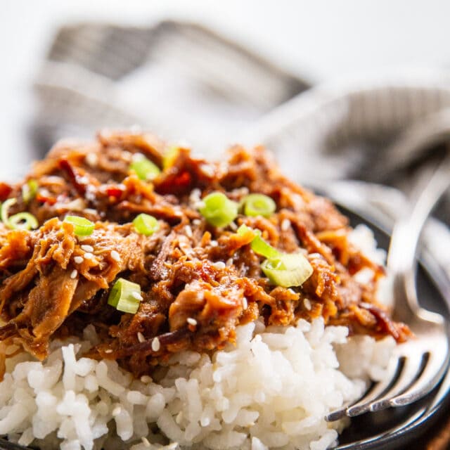 Sesame Pork - Dash of Sanity