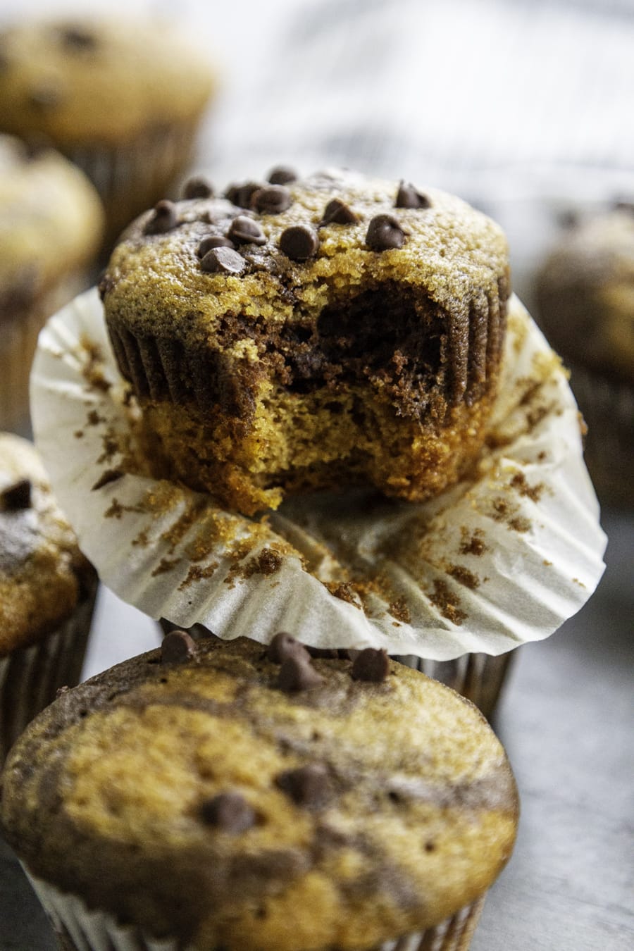 Chocolate Pumpkin Swirl Muffins - Dash of Sanity