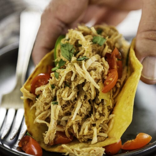 Mexican Chicken - Dash of Sanity