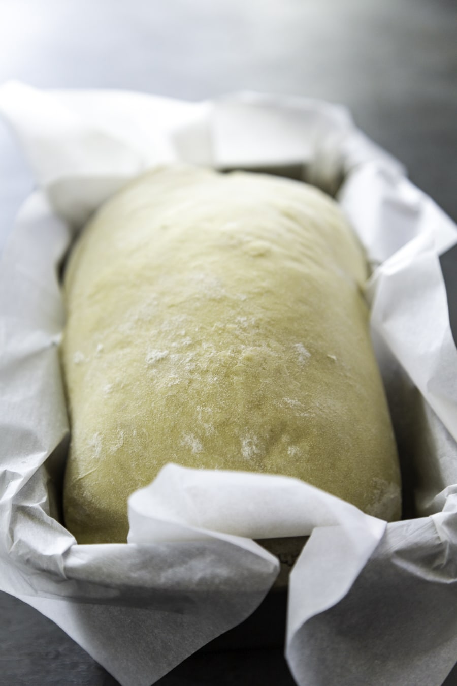 White Bread Recipe - Dash of Sanity