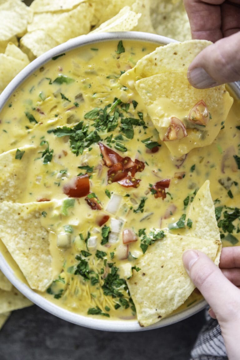 Best Queso - Dash of Sanity