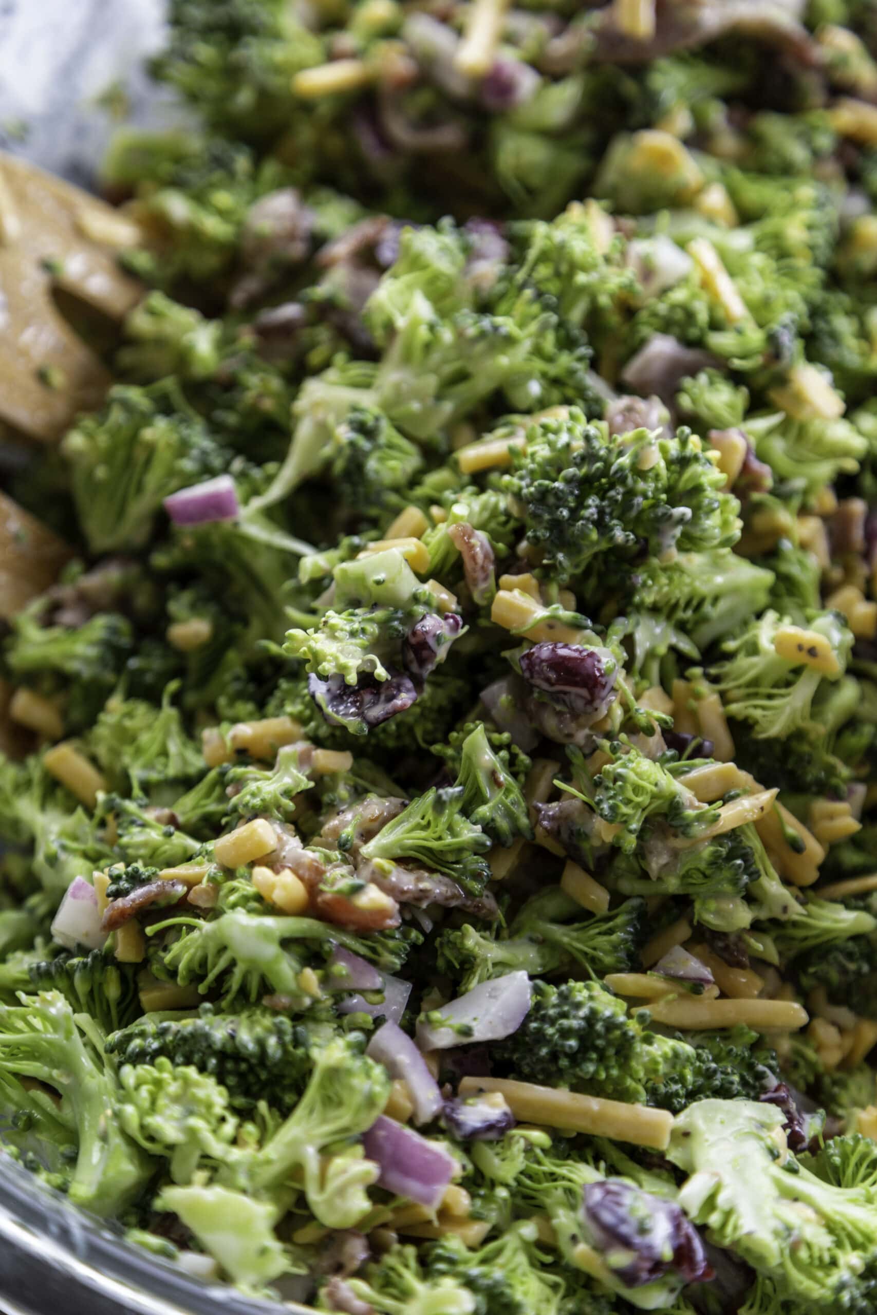 Broccoli Salad - Dash of Sanity