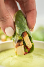 Fresh Mexican Spring Rolls