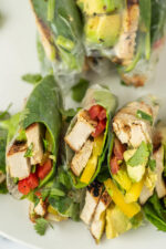 Fresh Mexican Spring Rolls