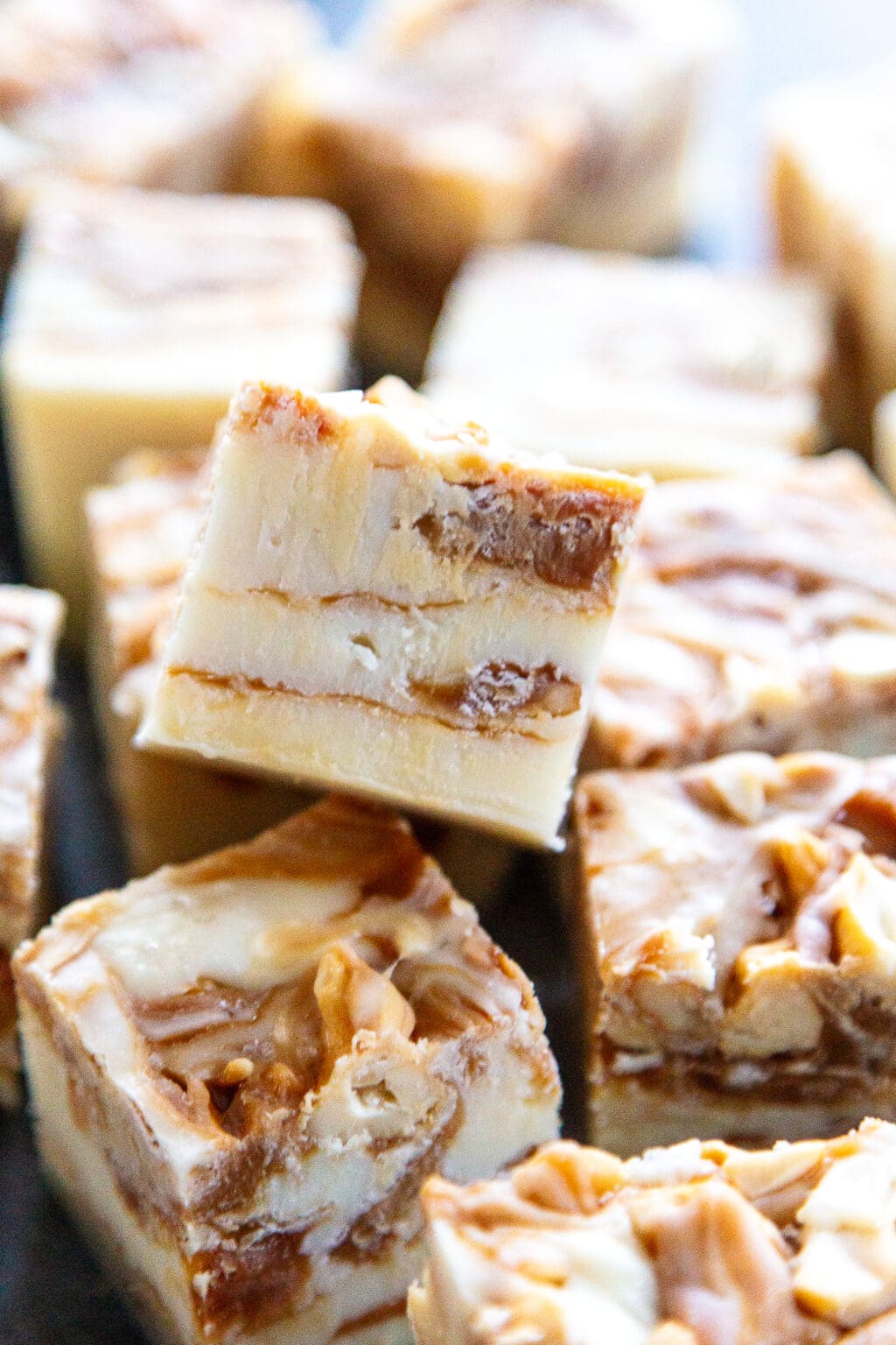 Polar Bear Paws Fudge - Dash of Sanity