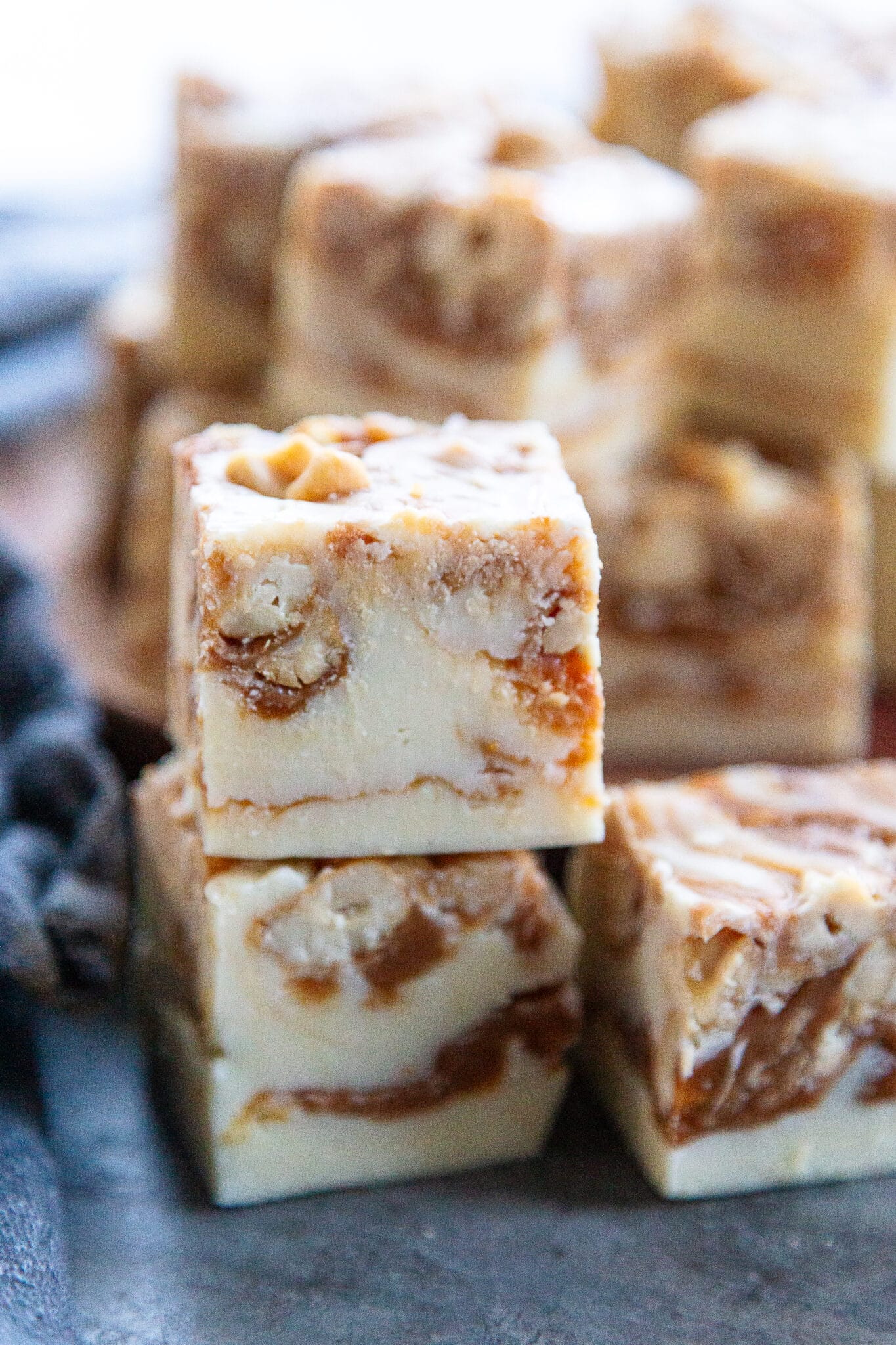 Polar Bear Paws Fudge - Dash of Sanity