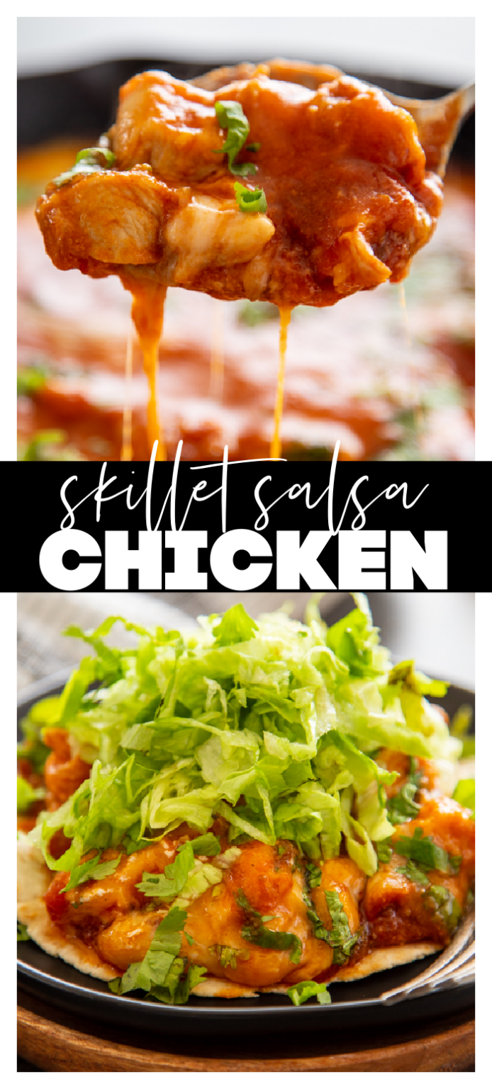 Salsa Chicken - Dash of Sanity